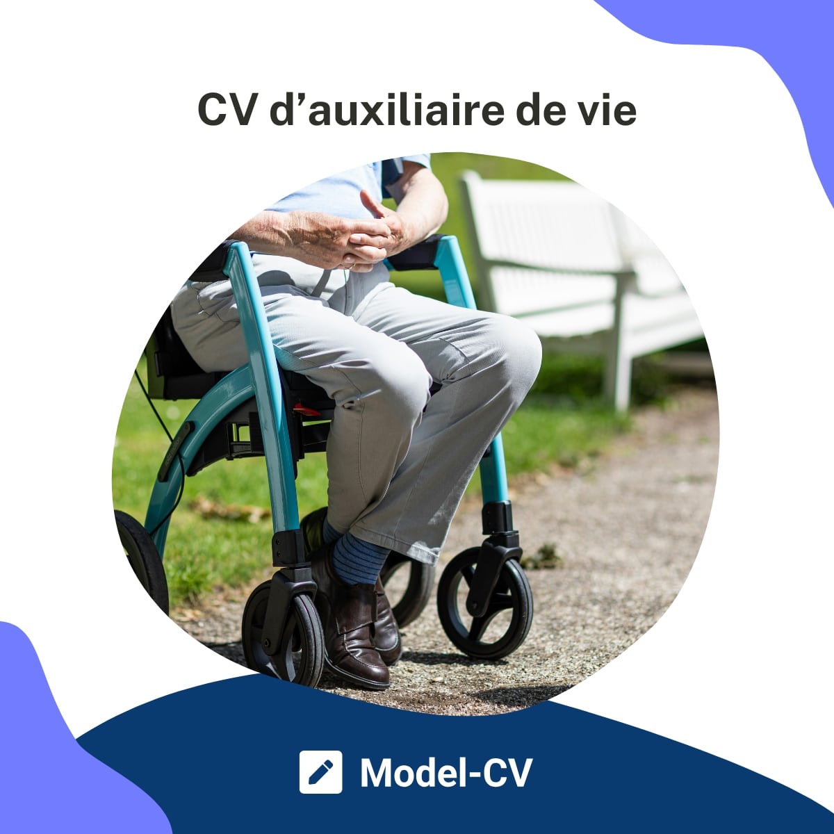 CV auxiliaire de vie : exemples et modèles gratuits à télécharger